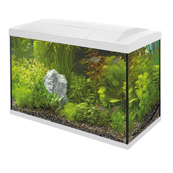 Superfish Start 100 Tropical Kit Wit