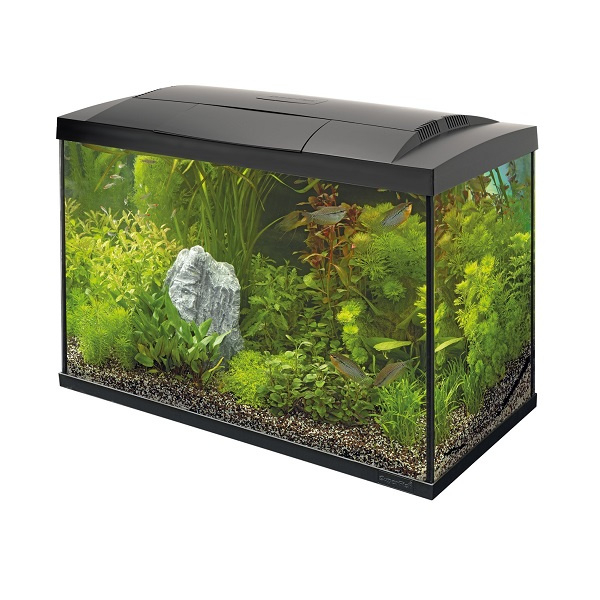 Superfish Start 70 Tropical Kit Zwart